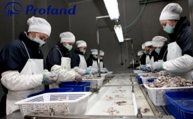 Profand amplía su plantilla: Ofertas de trabajo en producción y ...